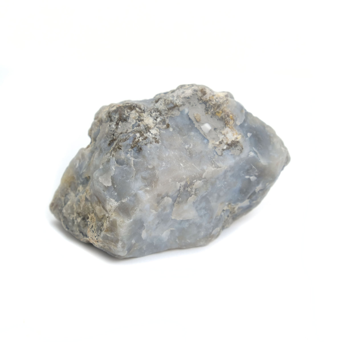Agatized Coprolite Specimen #103 – Beads of Paradise