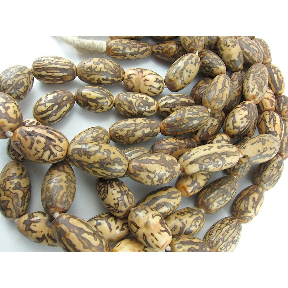 Traditional XL Doum Nut Beads, Kenya – Beads of Paradise