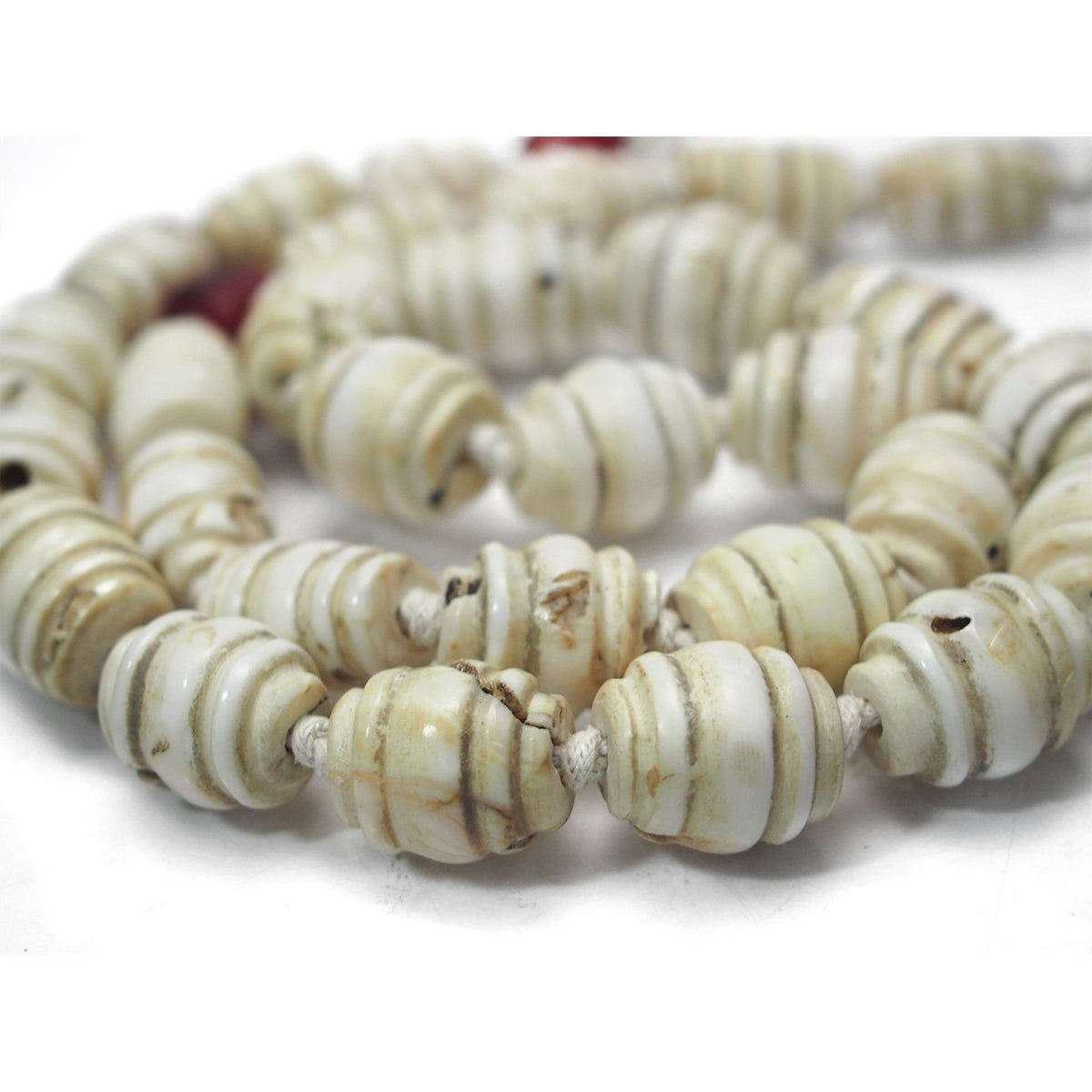 Arca Shell "Sacred Shank" Carved Barrel Shape Heirloom Beads – Beads of ...